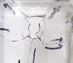 Glass Container Fracture Analysis | Aegg Creative Packaging